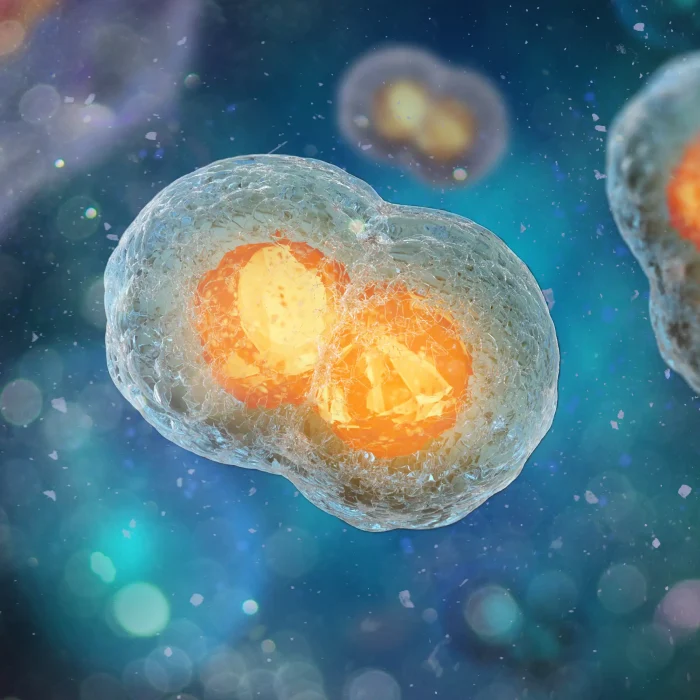 GS Discovery® Transient Expression Platform | Lonza
