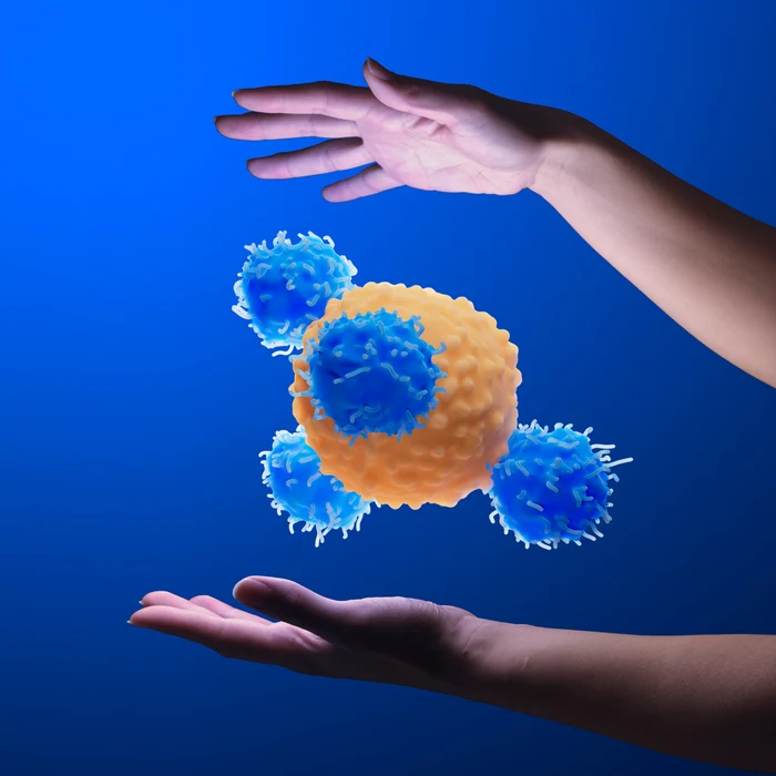 Immunogenicity / Immunotoxicity Assessment