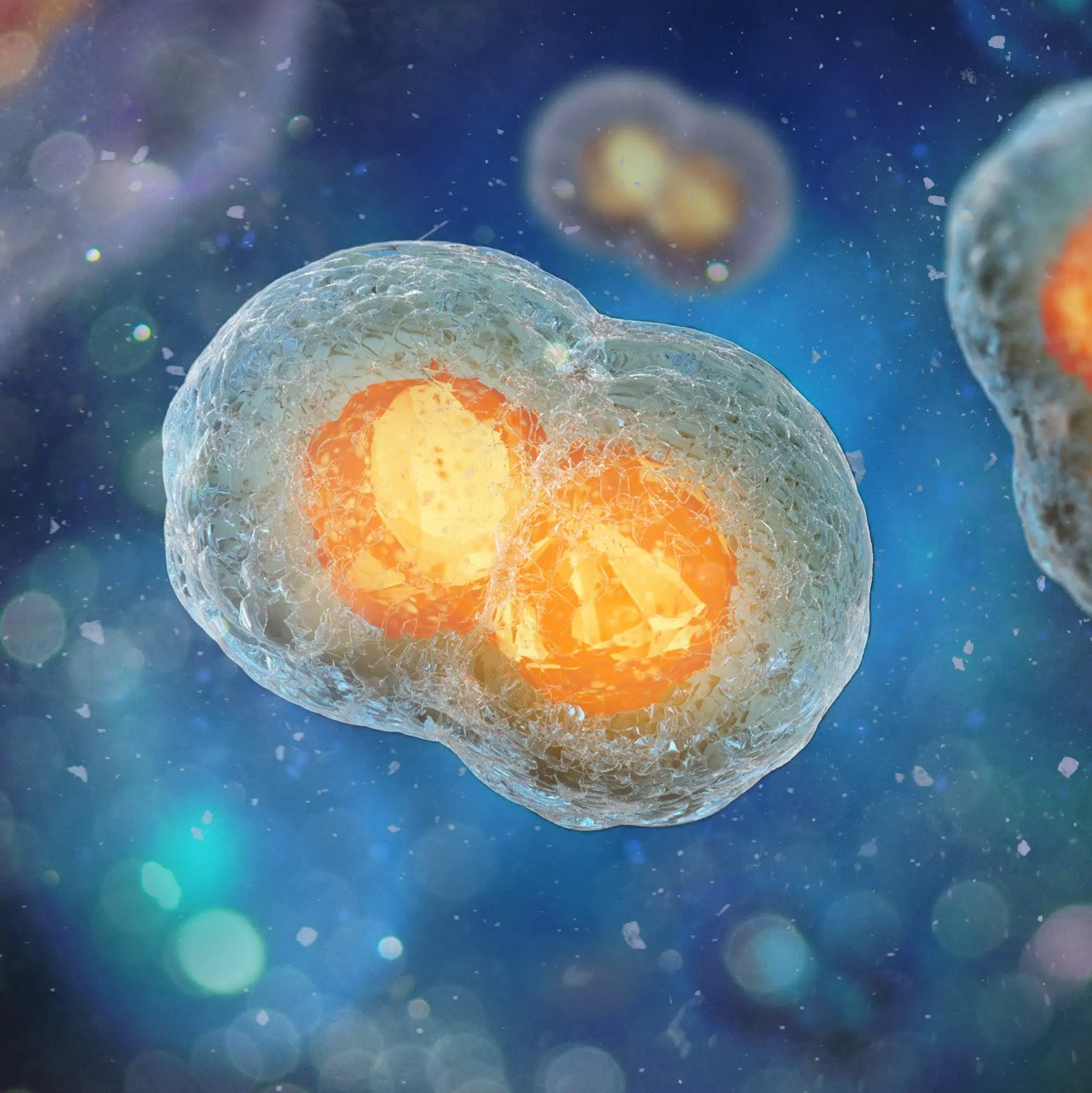 GS Discovery® Transient Expression Platform | Lonza