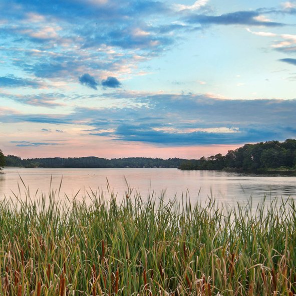 Capsugel® Enprotect® Capsules | Lonza