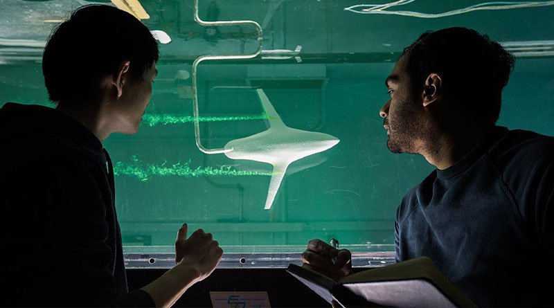 Guidelines - U of T Brand Portal