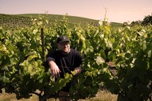 Massican - Lux Wines