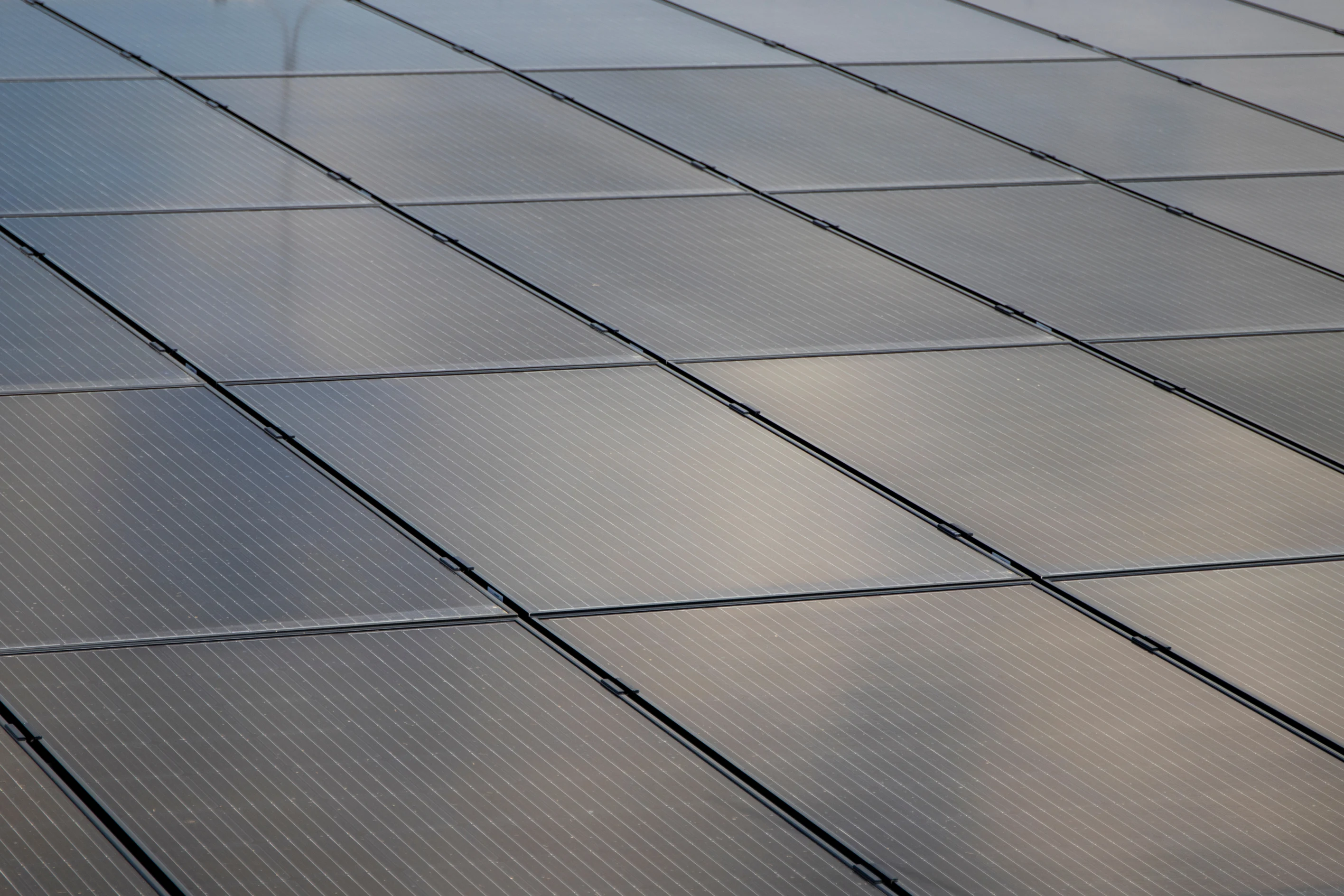 Solar Renewable Energy Credits (SRECs): Definition & How They Work | Sunrun
